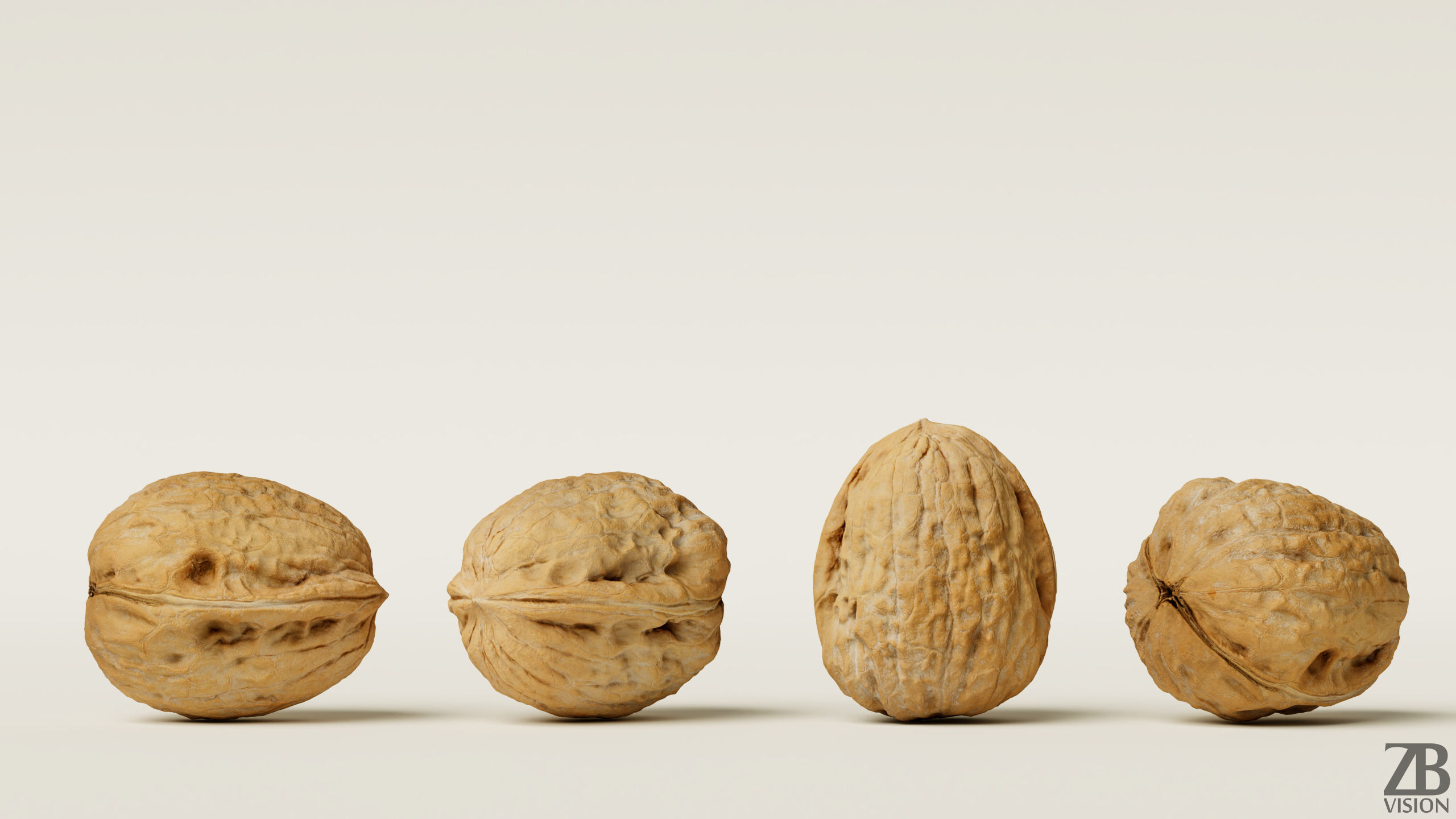 Walnut 001 3D model | CGTrader