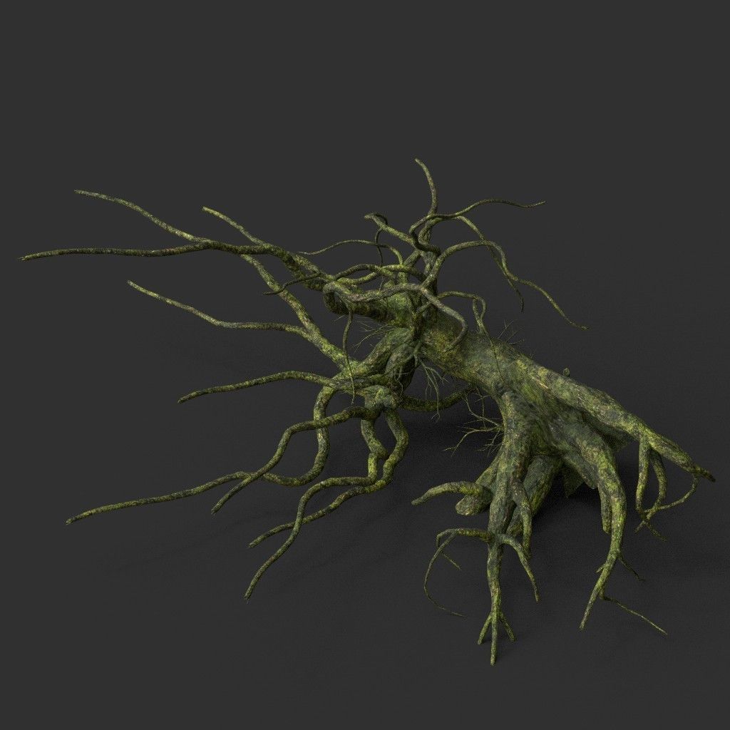 3D model Low poly Mossy Jungle Dead Tree VR / AR / low-poly | CGTrader