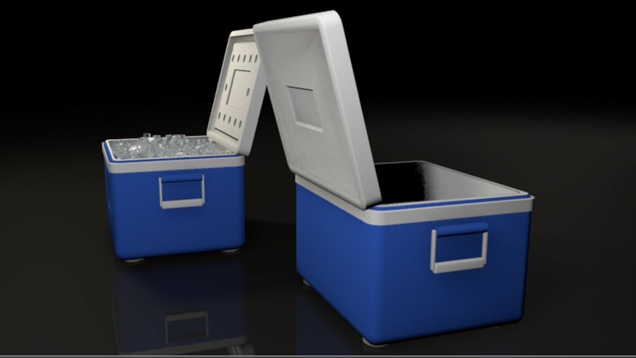 3d cooler 3D model | CGTrader