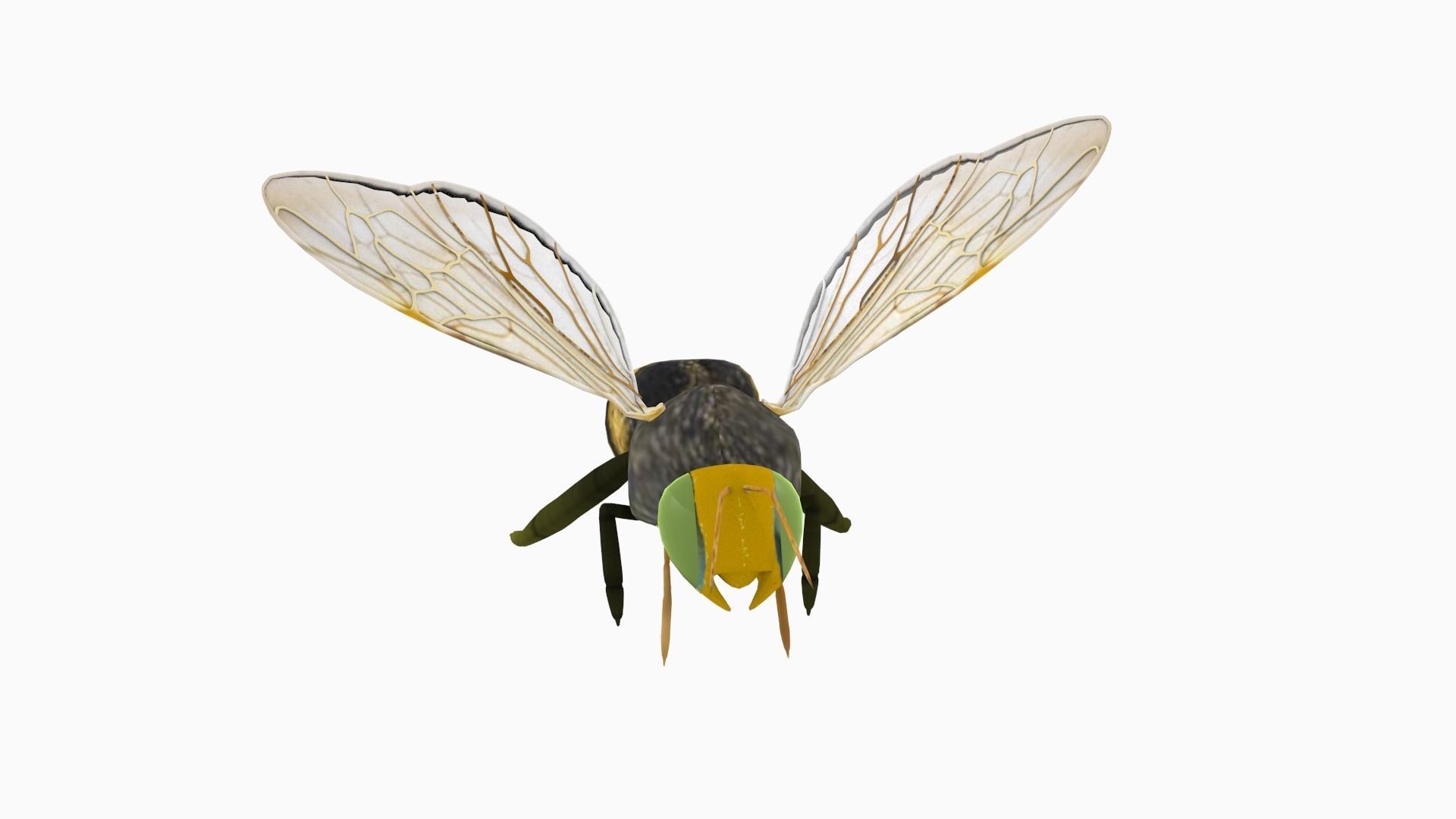 3D model high poly and low poly bee VR / AR / low-poly | CGTrader
