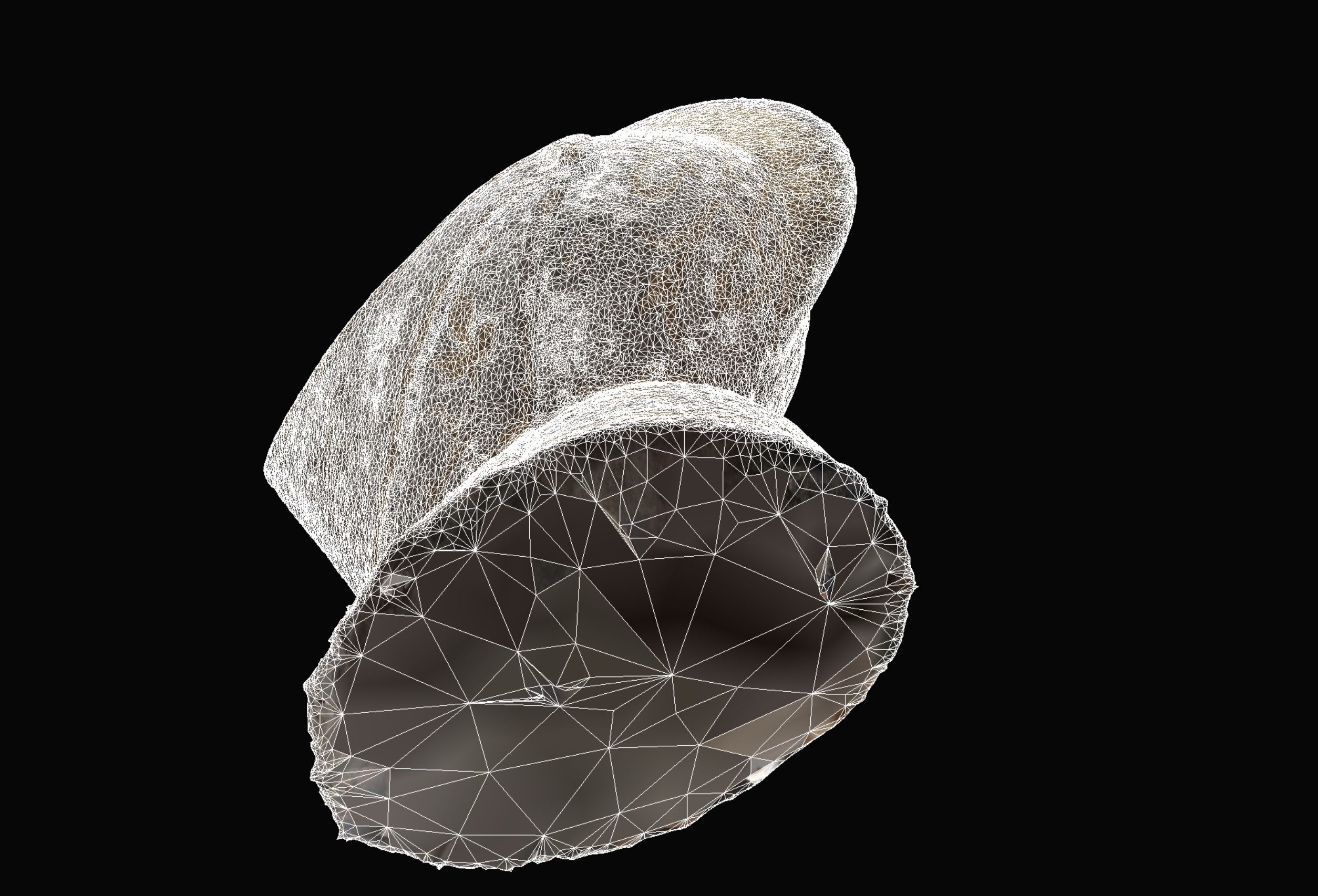 Gold and Silver Knights Helmet Photogrammetry scan 3D model | CGTrader