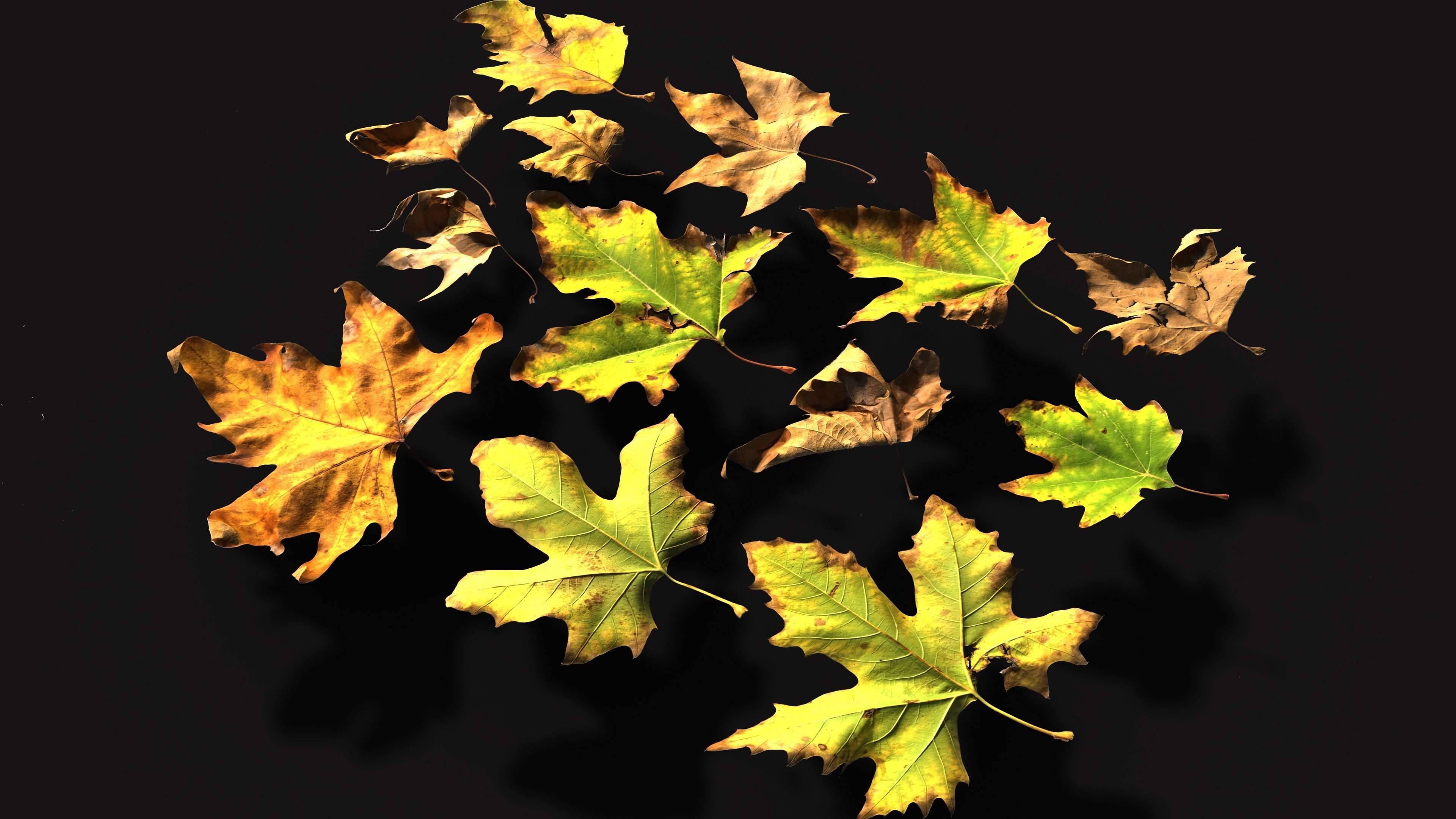 Huge 6K atlas pack - 40 types - 16 bit Texture | CGTrader