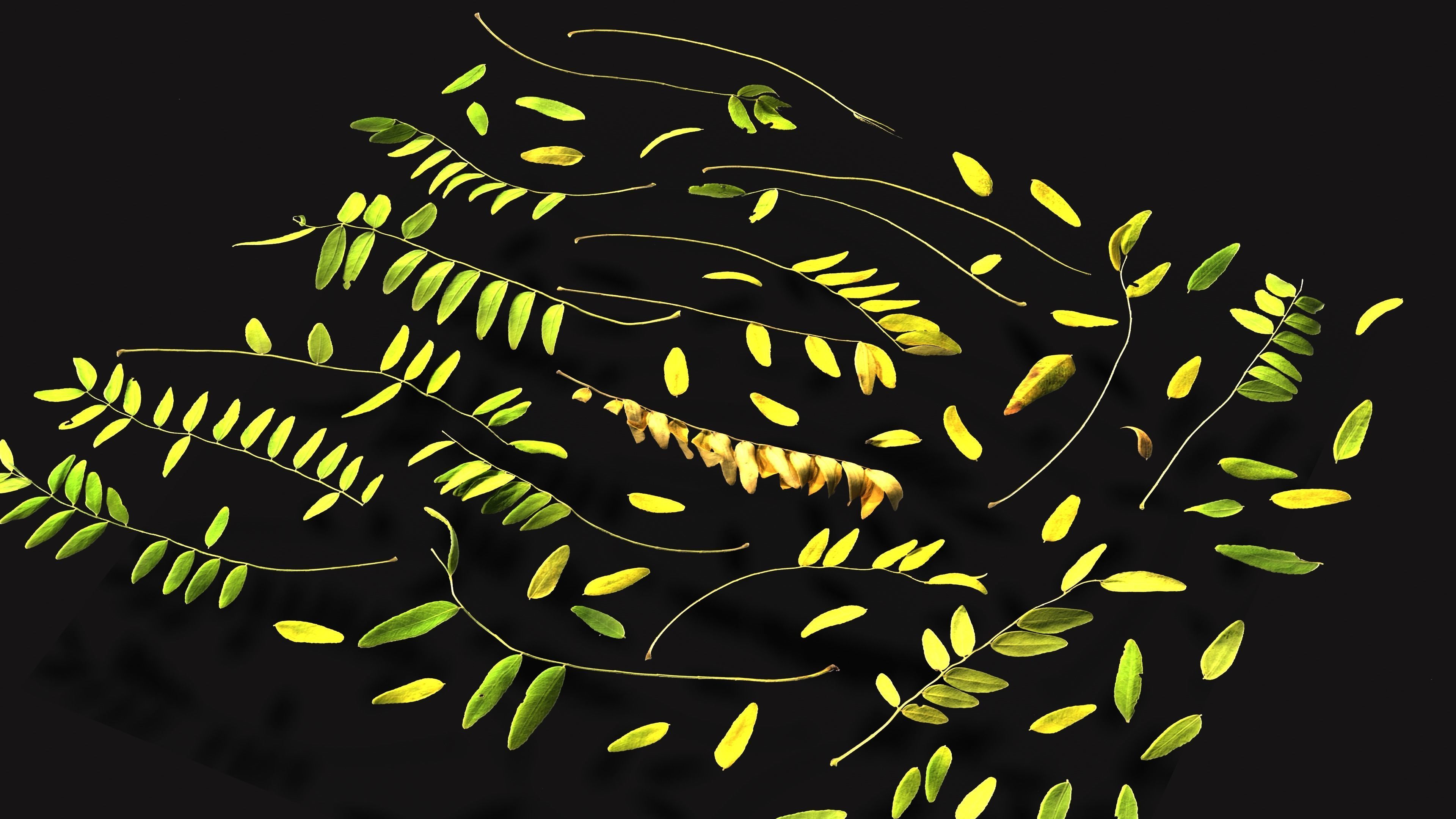 Huge 6K atlas pack - 40 types - 16 bit Texture | CGTrader