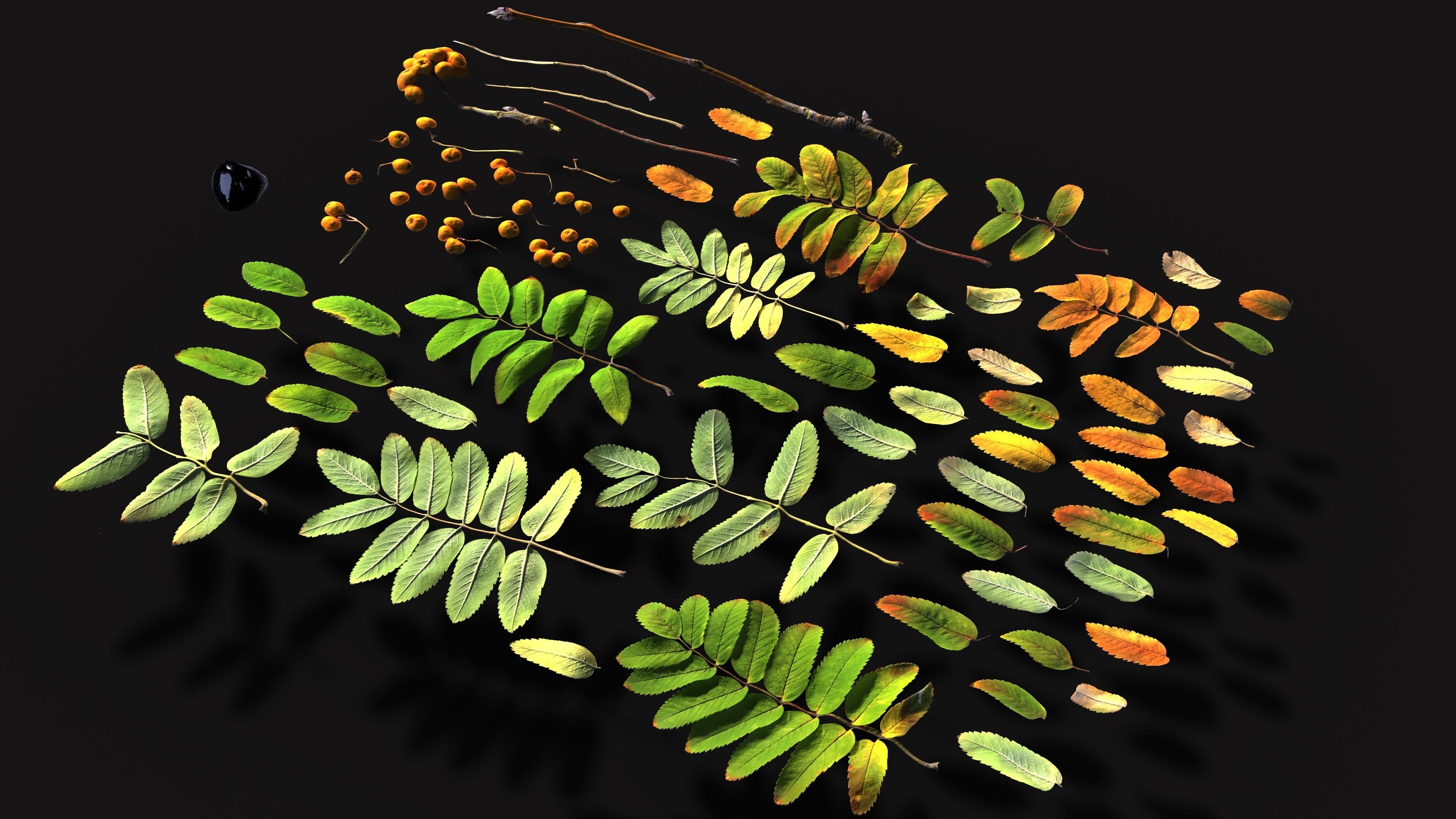 Huge 6K atlas pack - 40 types - 16 bit Texture | CGTrader