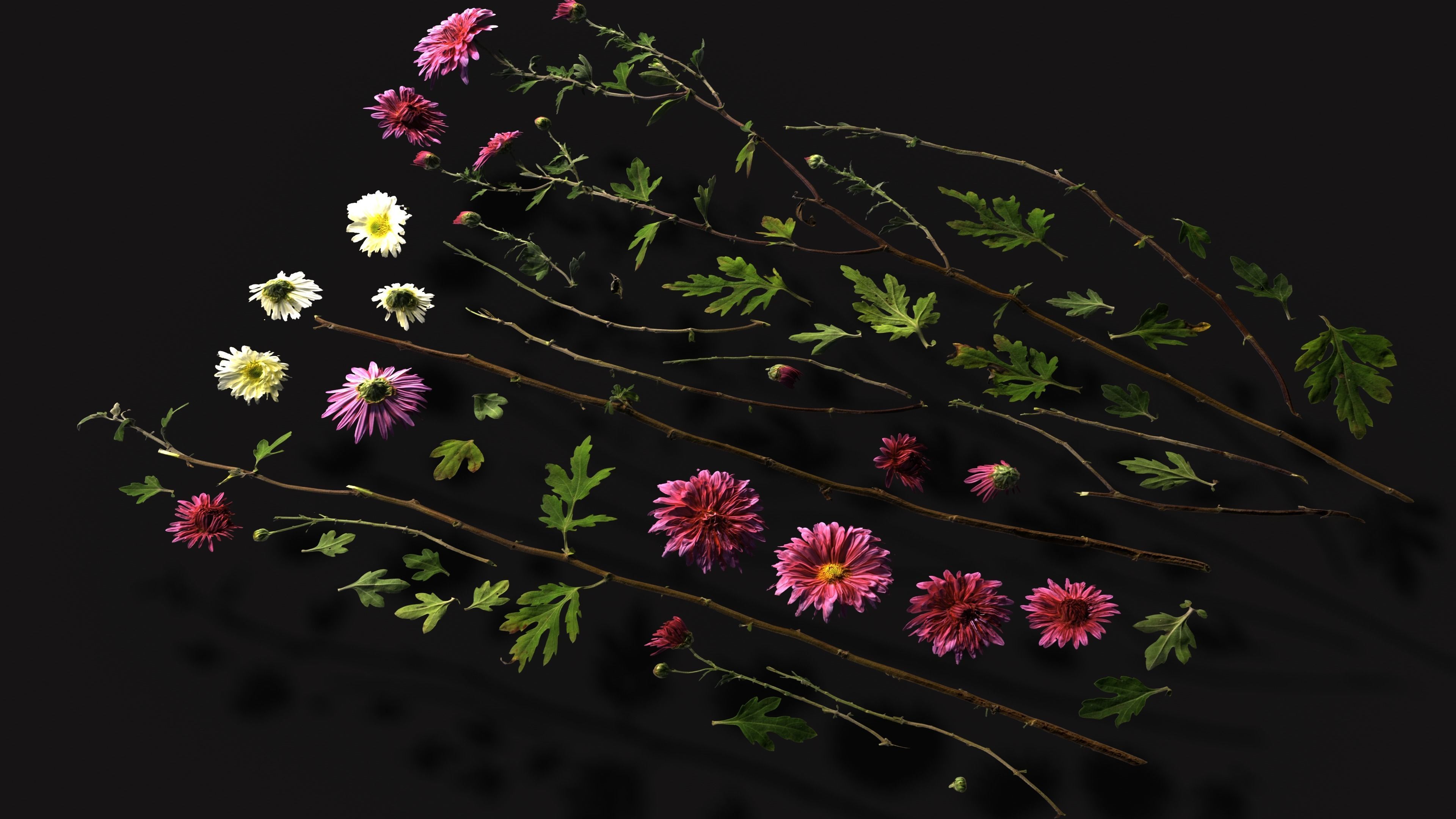 Huge 6K atlas pack - 40 types - 16 bit Texture | CGTrader