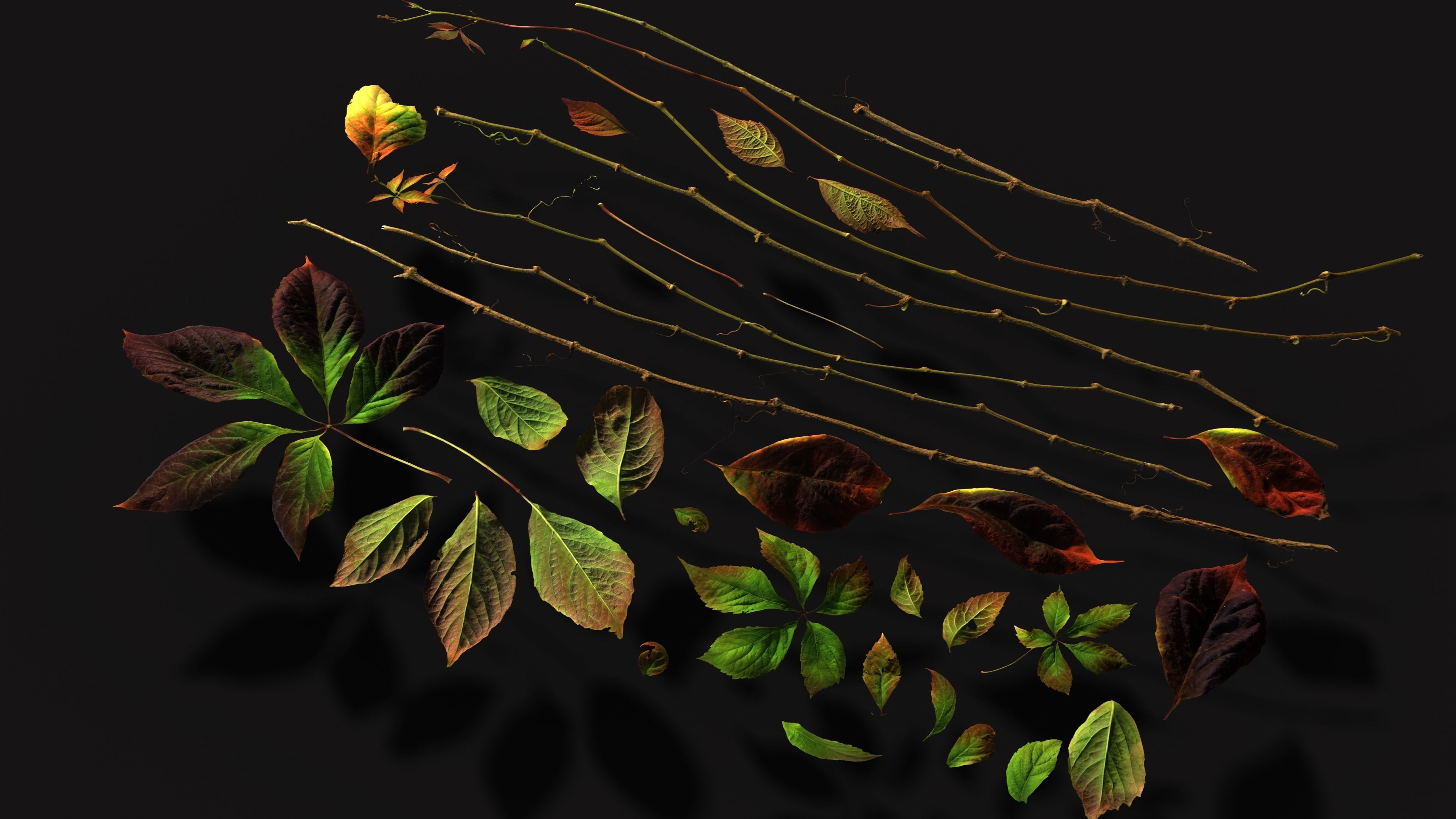 Huge 6K atlas pack - 40 types - 16 bit Texture | CGTrader