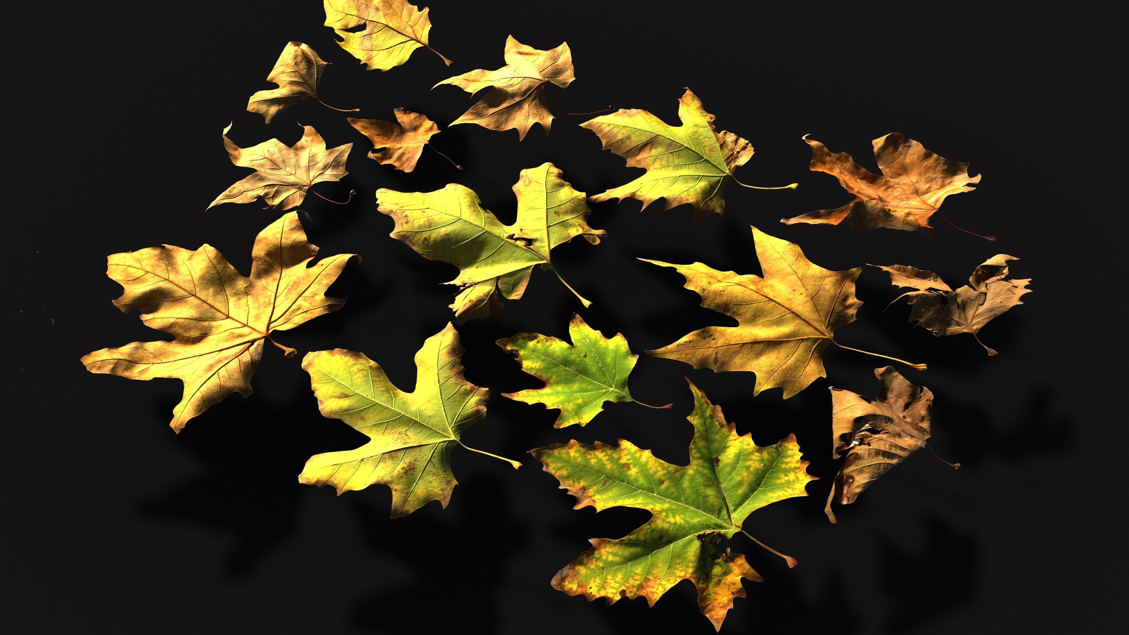 Huge 6K atlas pack - 40 types - 16 bit Texture | CGTrader