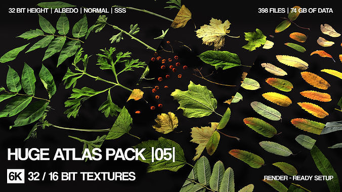 Huge 6K atlas pack - 40 types - 16 bit Texture | CGTrader