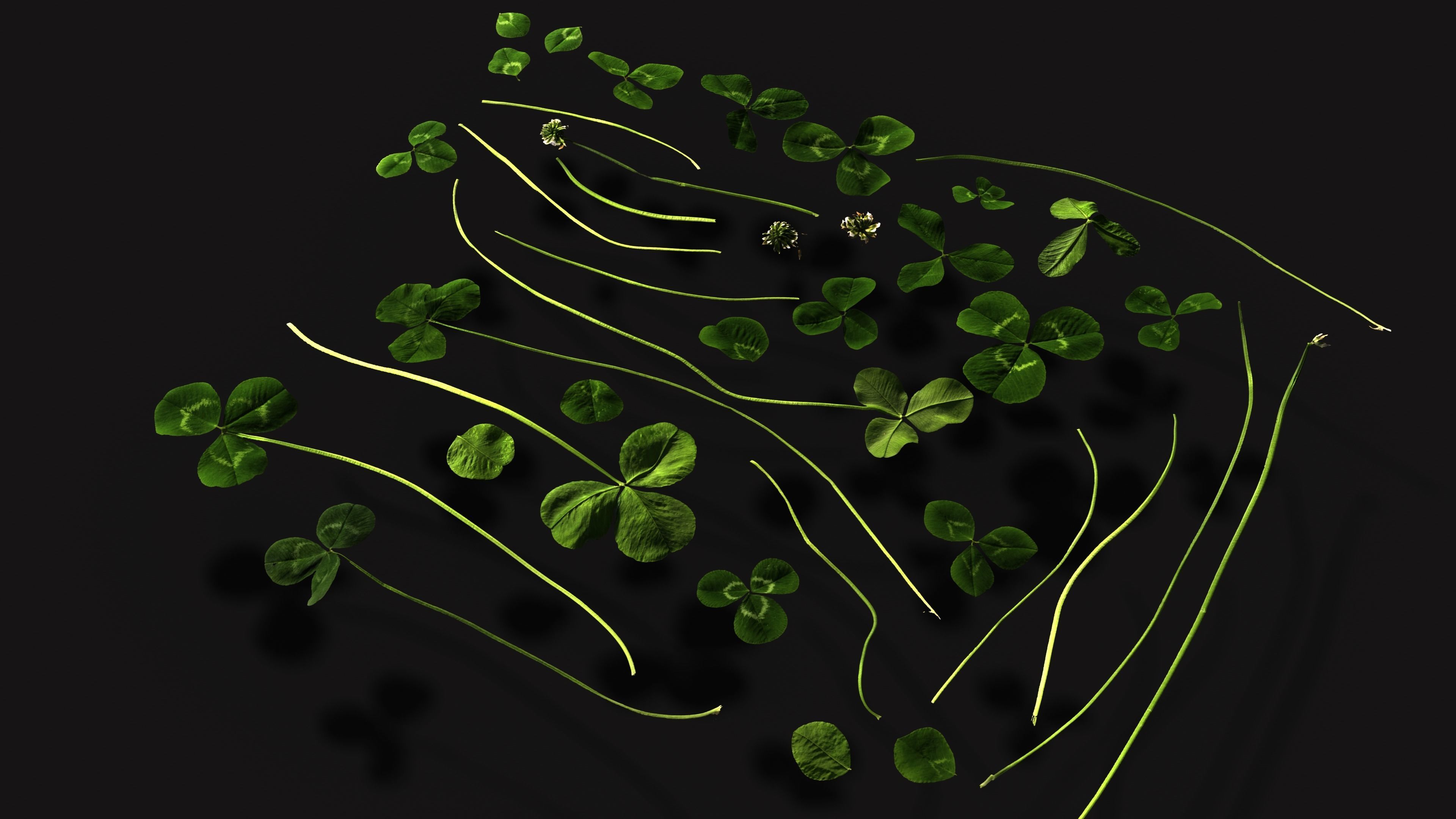 Huge 6K atlas pack - 40 types - 16 bit Texture | CGTrader