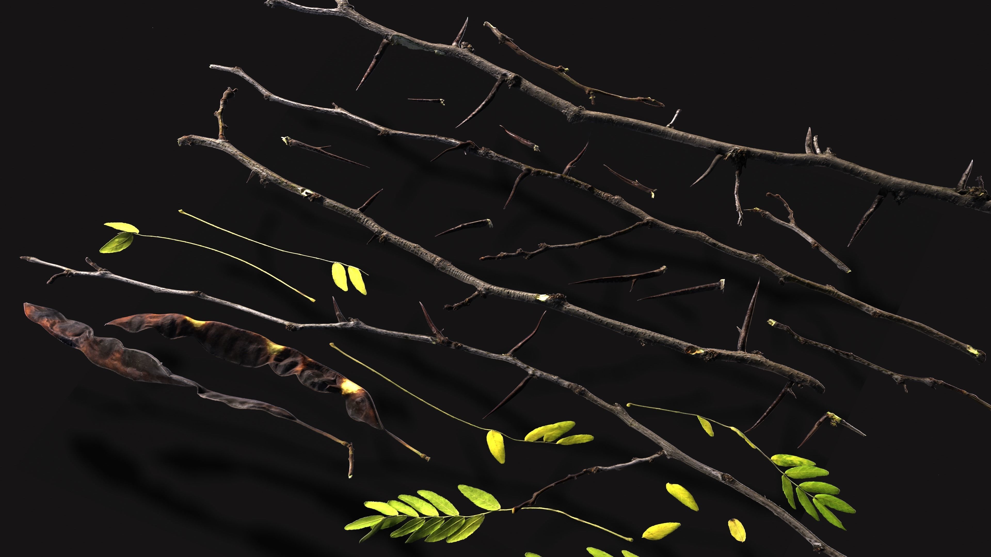 Huge 6K atlas pack - 40 types - 16 bit Texture | CGTrader