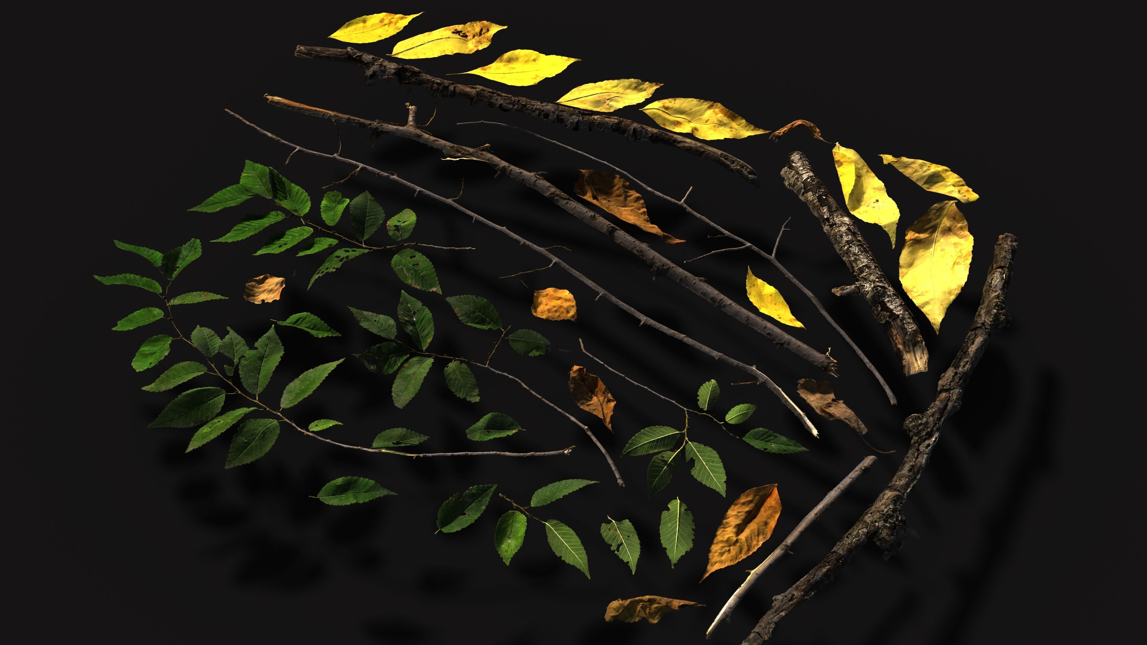 Huge 6K atlas pack - 40 types - 16 bit Texture | CGTrader