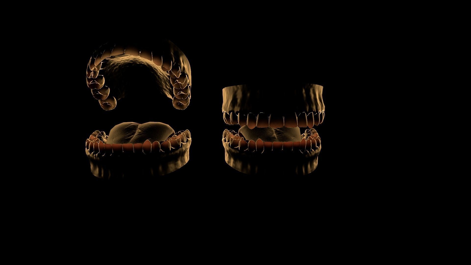 3D model Realistic Teeth base mesh VR / AR / low-poly | CGTrader