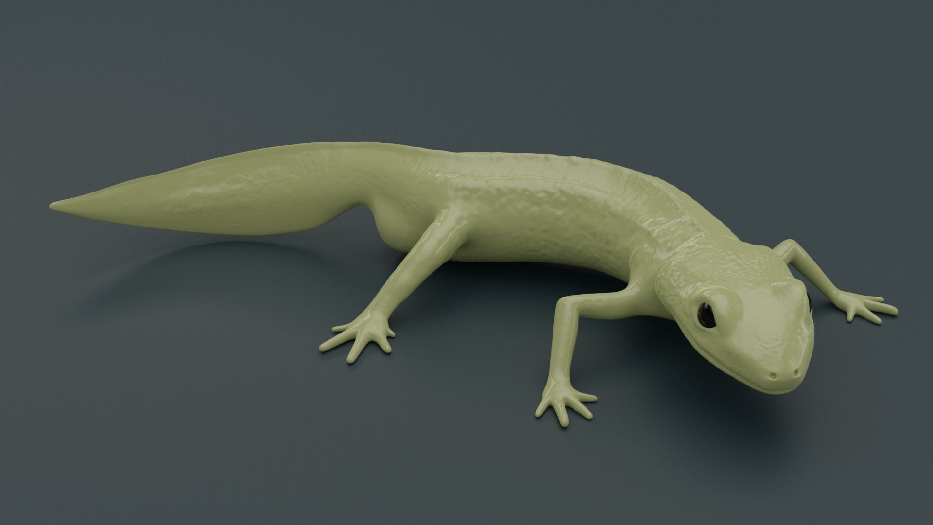 Lissotriton Montandoni Carpathian newt for 3D printing sculpt 3D model ...