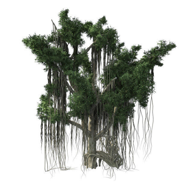 Chinese Banyan Tree 3D model | CGTrader