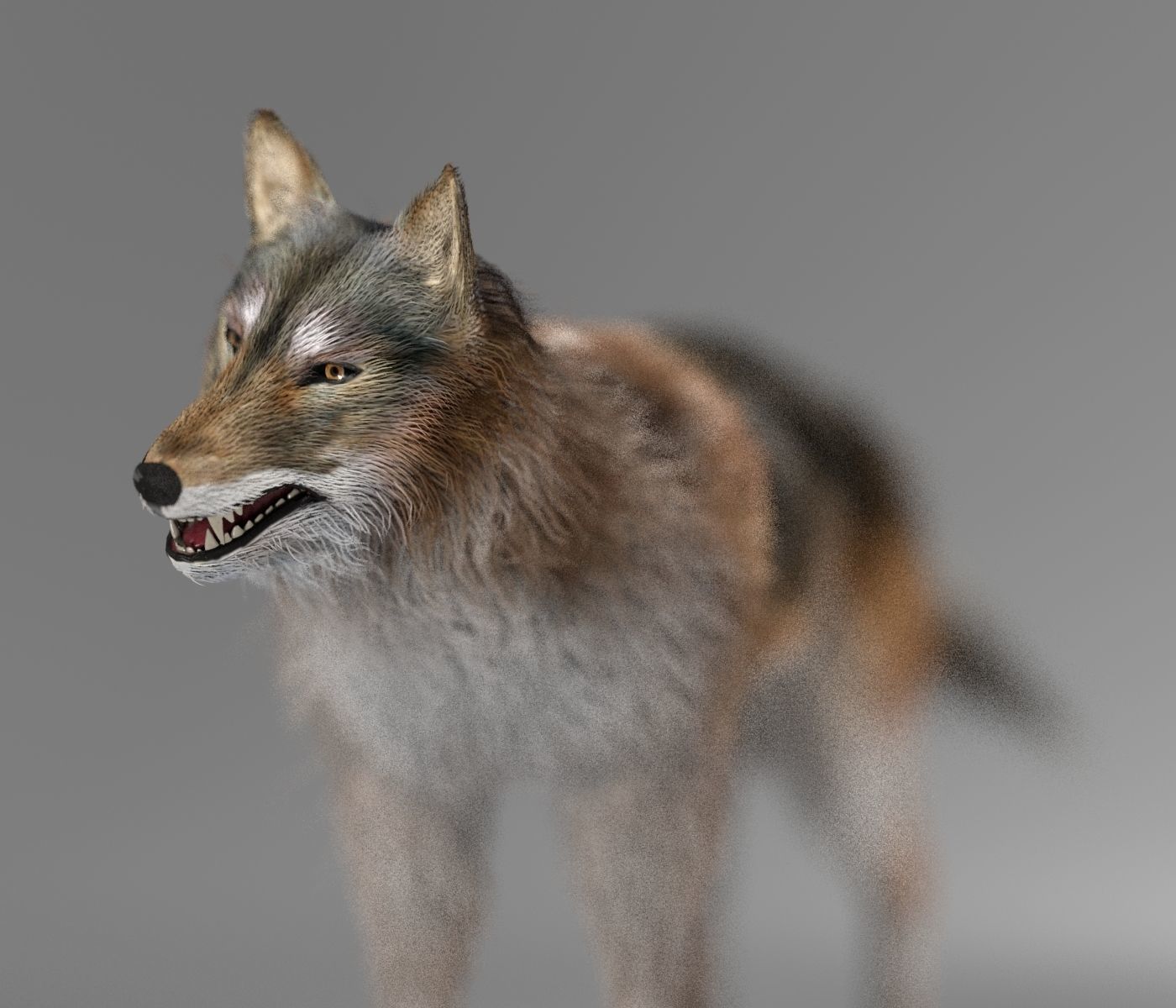 Wild Wolf 3D model animated rigged | CGTrader