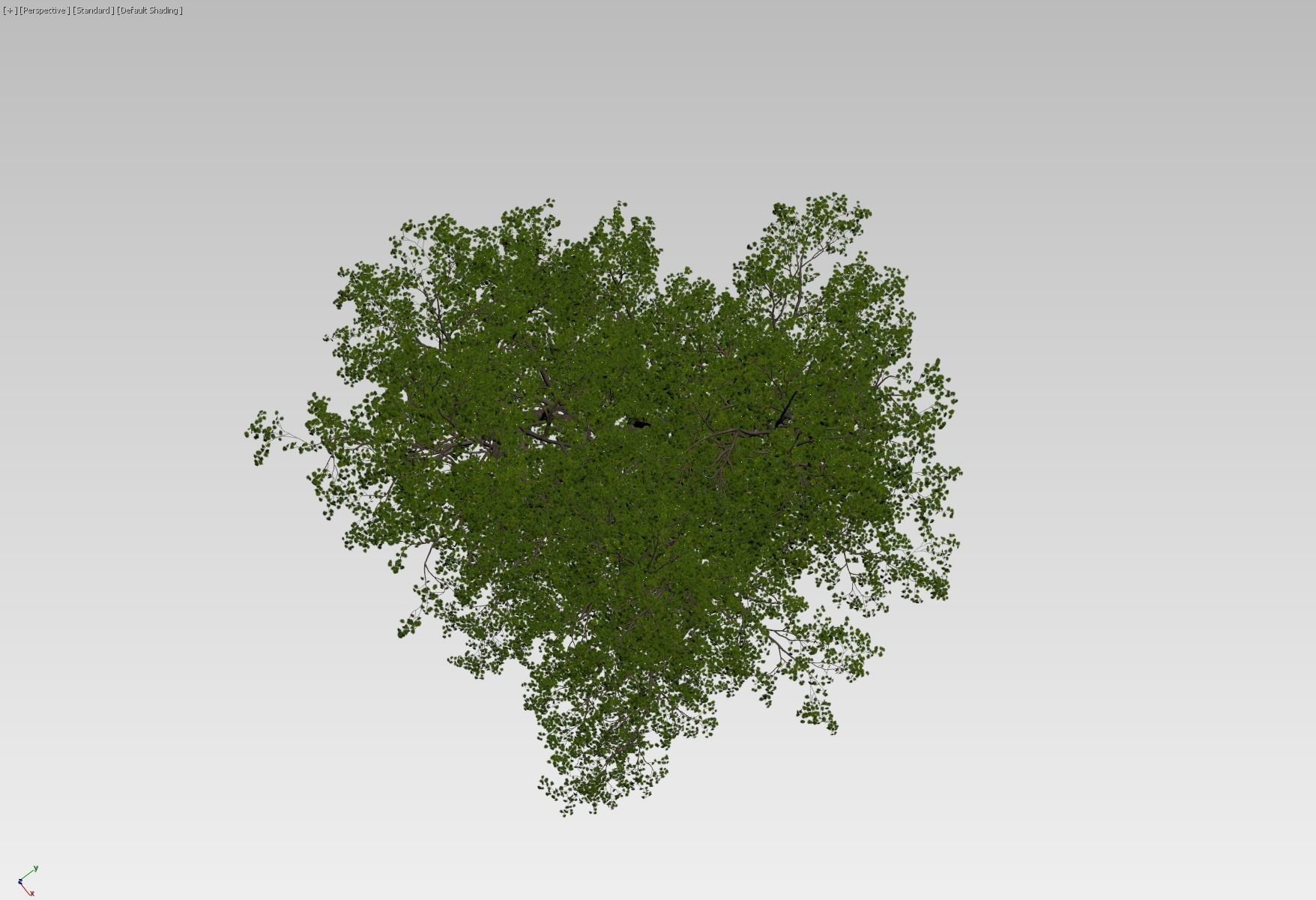 Natural large tree 3D model | CGTrader
