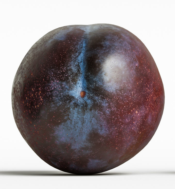 Plum 002 3D model | CGTrader