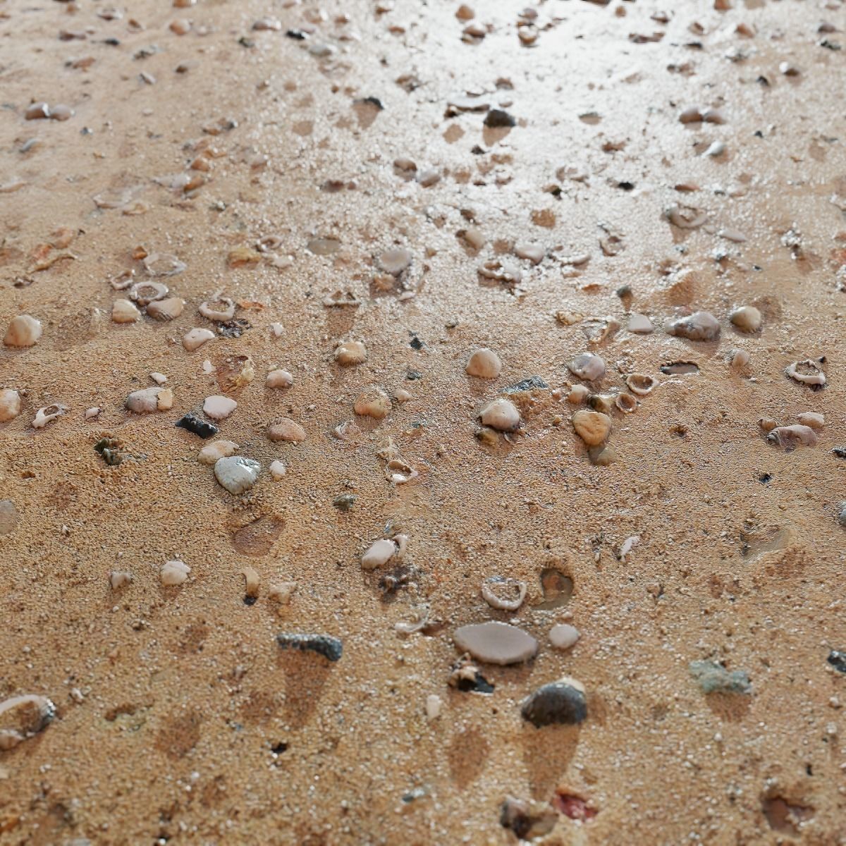 Beach Sand PBR Texture Texture | CGTrader