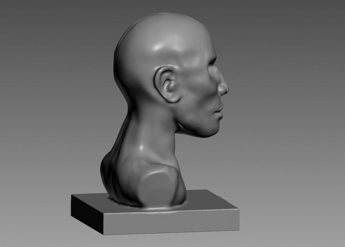 Half face half skull 3d print model 3D model 3D printable | CGTrader