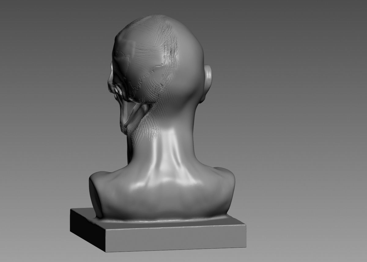 Half face half skull 3d print model 3D model 3D printable | CGTrader