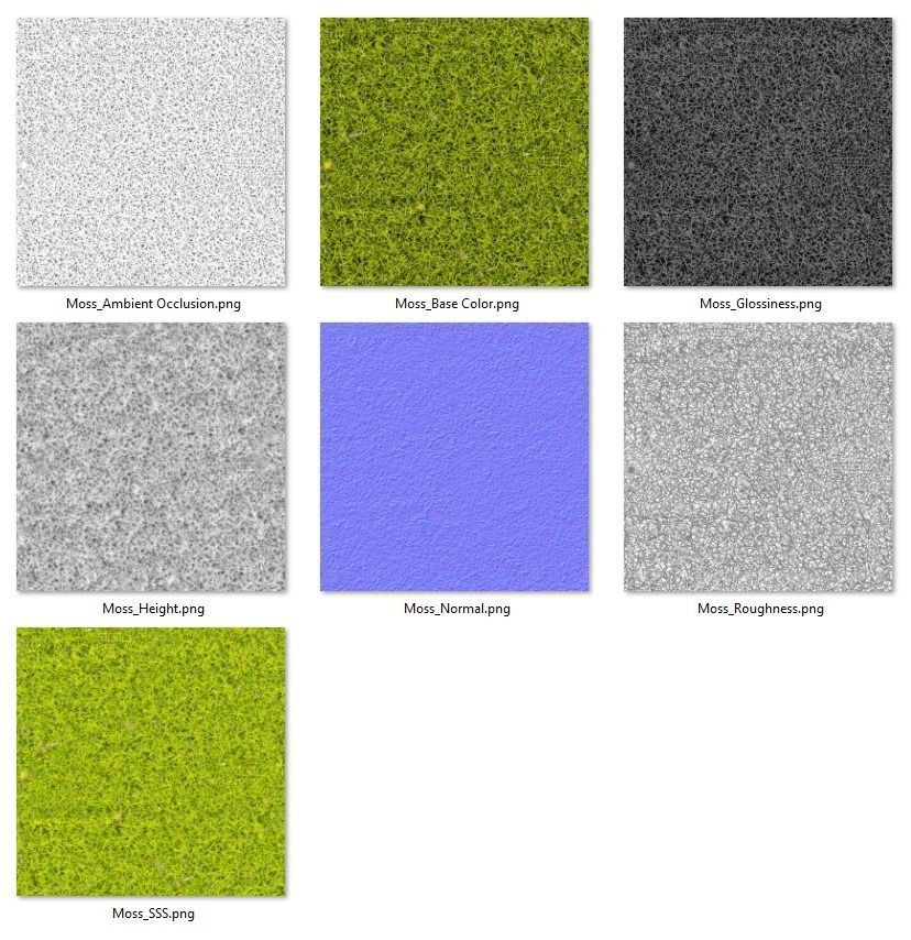 Moss PBR Texture Texture | CGTrader