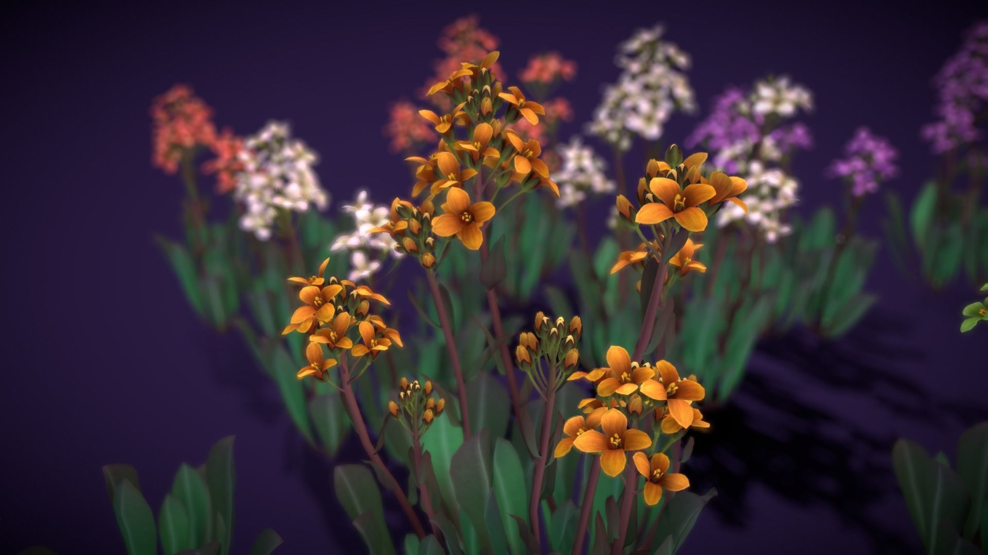 3D model Flower Daggerpod VR / AR / low-poly | CGTrader