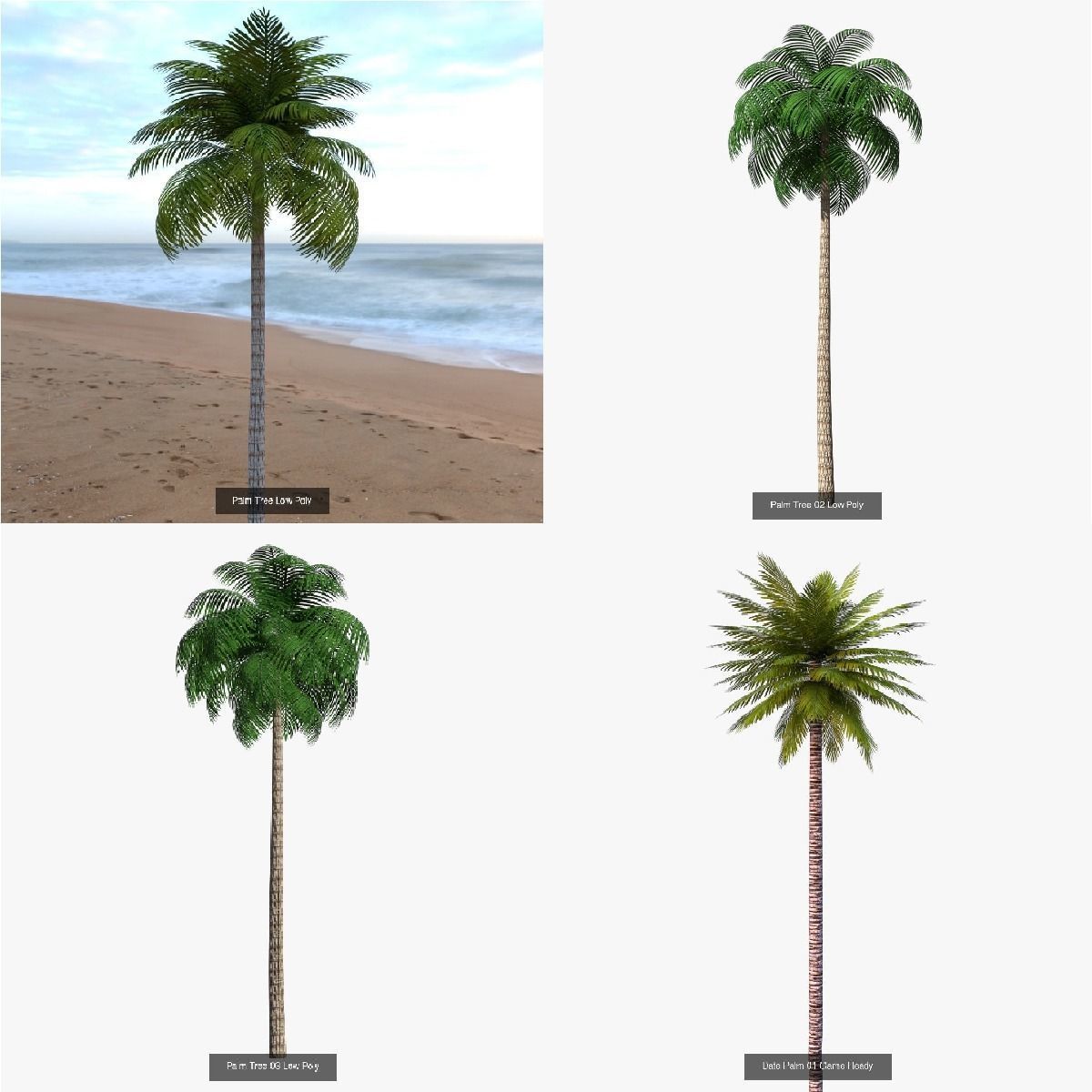 3D Model Collection Palm Trees Low Poly VR / AR / low-poly | CGTrader