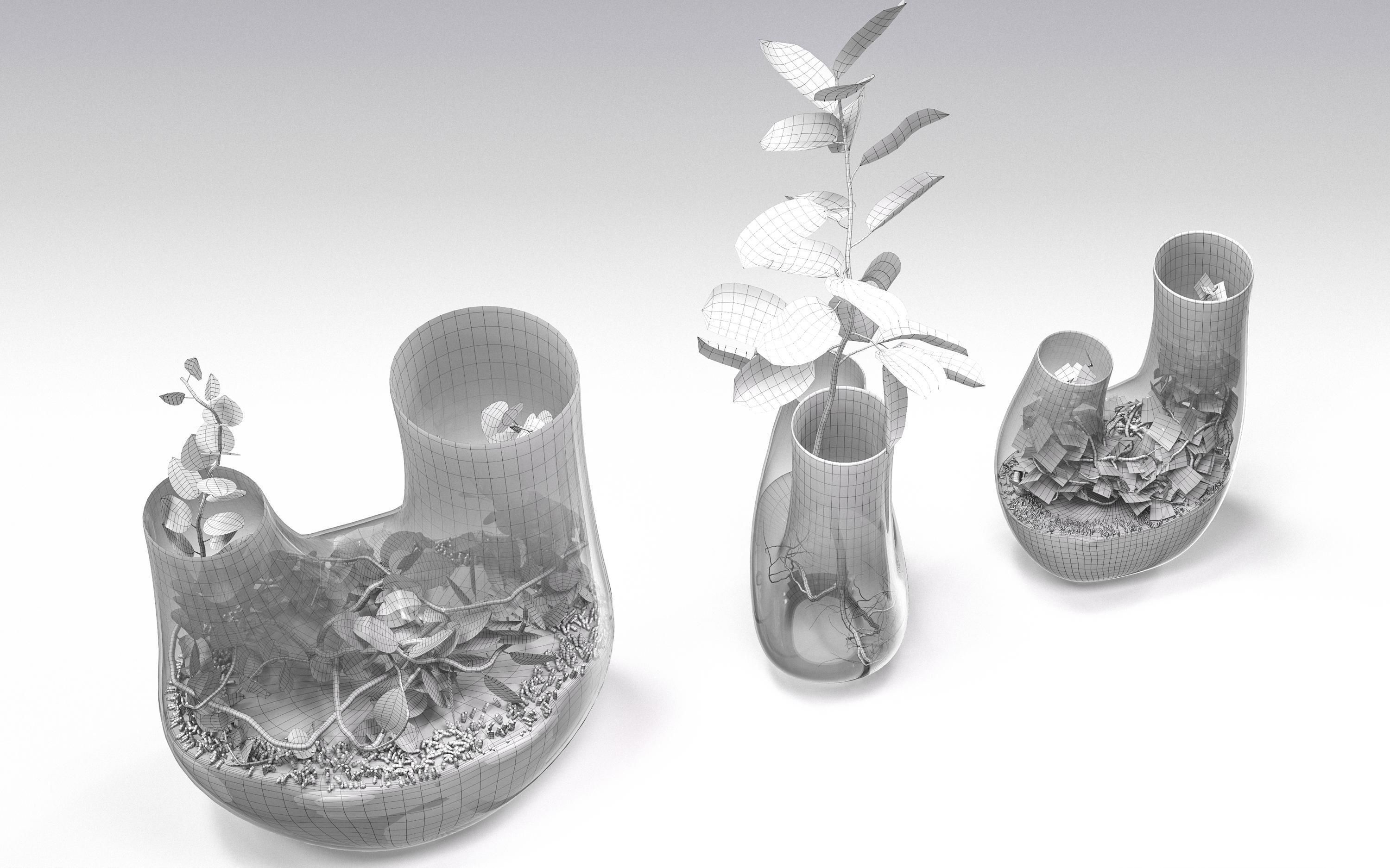 Plant Terrarium SET1 3D model | CGTrader