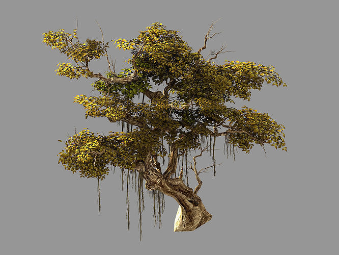 Flower and Fruit Mountain-Tree 02 3D model | CGTrader