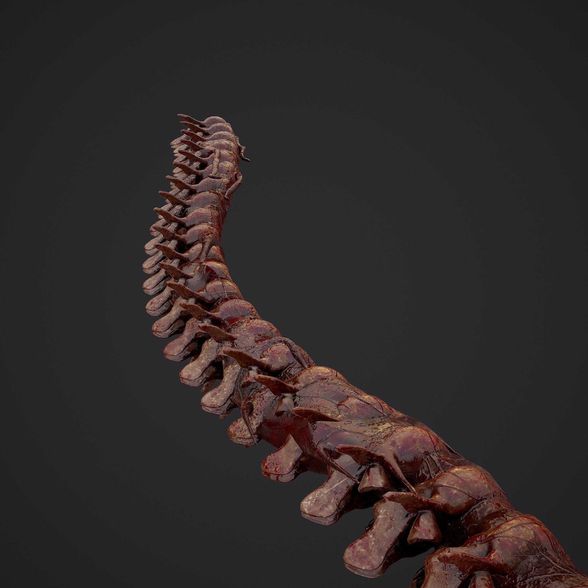 3D model Bloody Spine VR / AR / low-poly | CGTrader