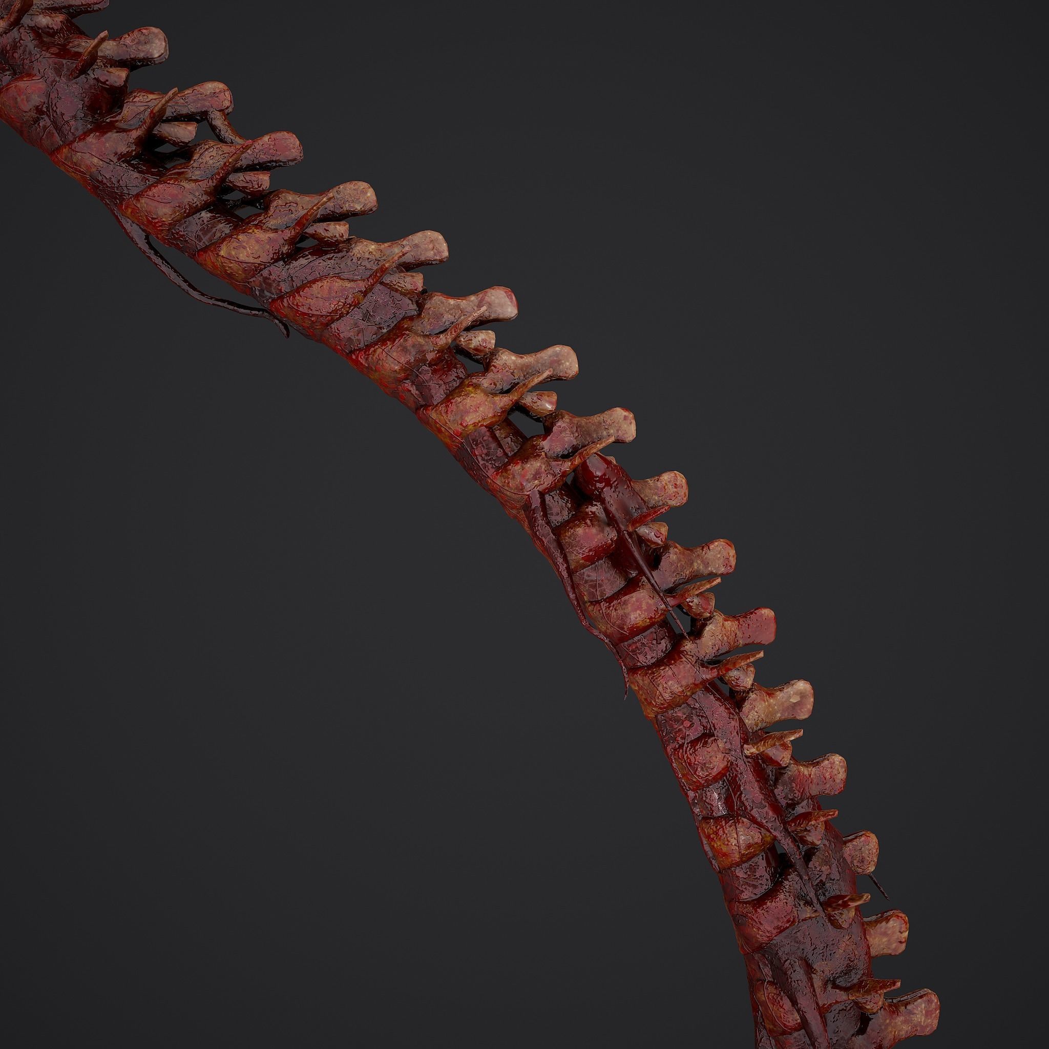 3D model Bloody Spine VR / AR / low-poly | CGTrader