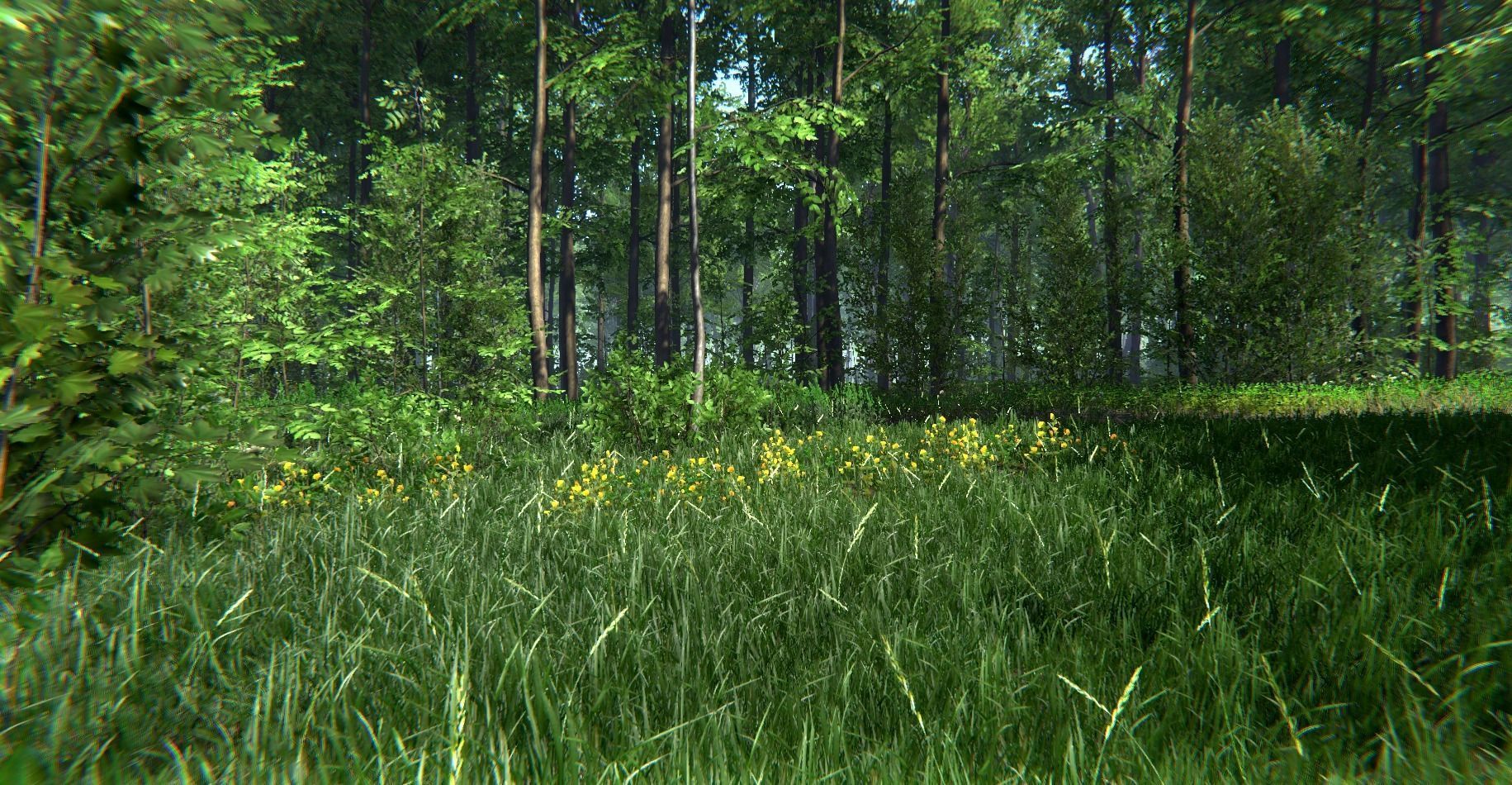 3D model Nature Package - Forest Environment Unity VR / AR / low-poly ...