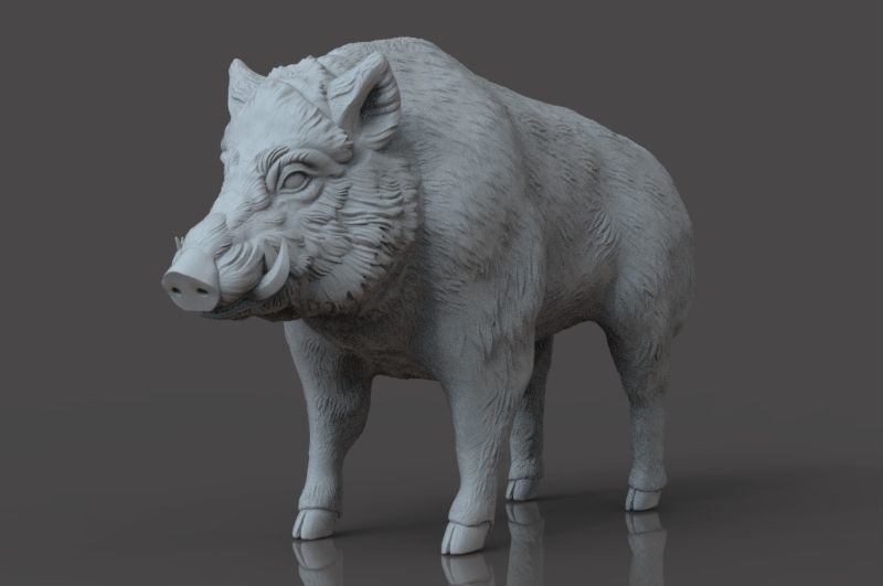 Boar 3D Model 3D model 3D printable | CGTrader
