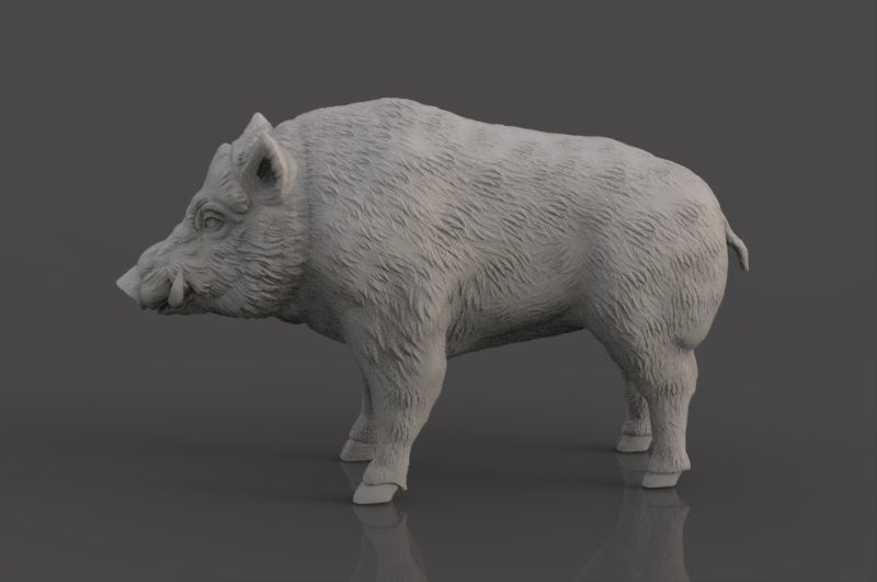 Boar 3D Model wild 3D model 3D printable | CGTrader