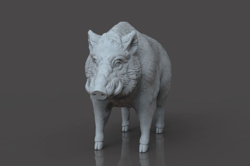 Boar 3D Model 3D model 3D printable | CGTrader