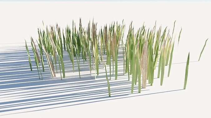 Free Blender Grass Model free VR / AR / low-poly 3D model | CGTrader