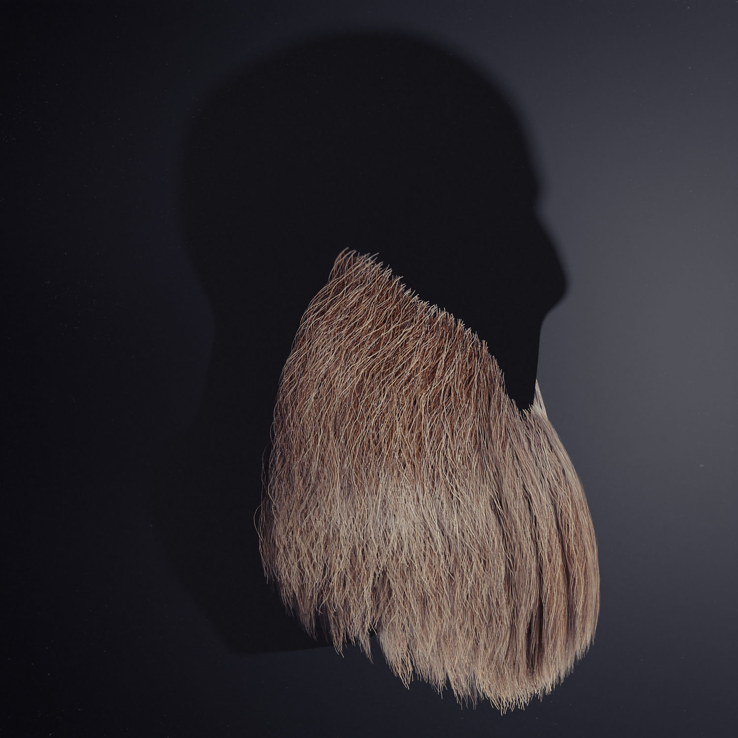 3D model Beard Blender Low Poly 3 VR / AR / low-poly | CGTrader