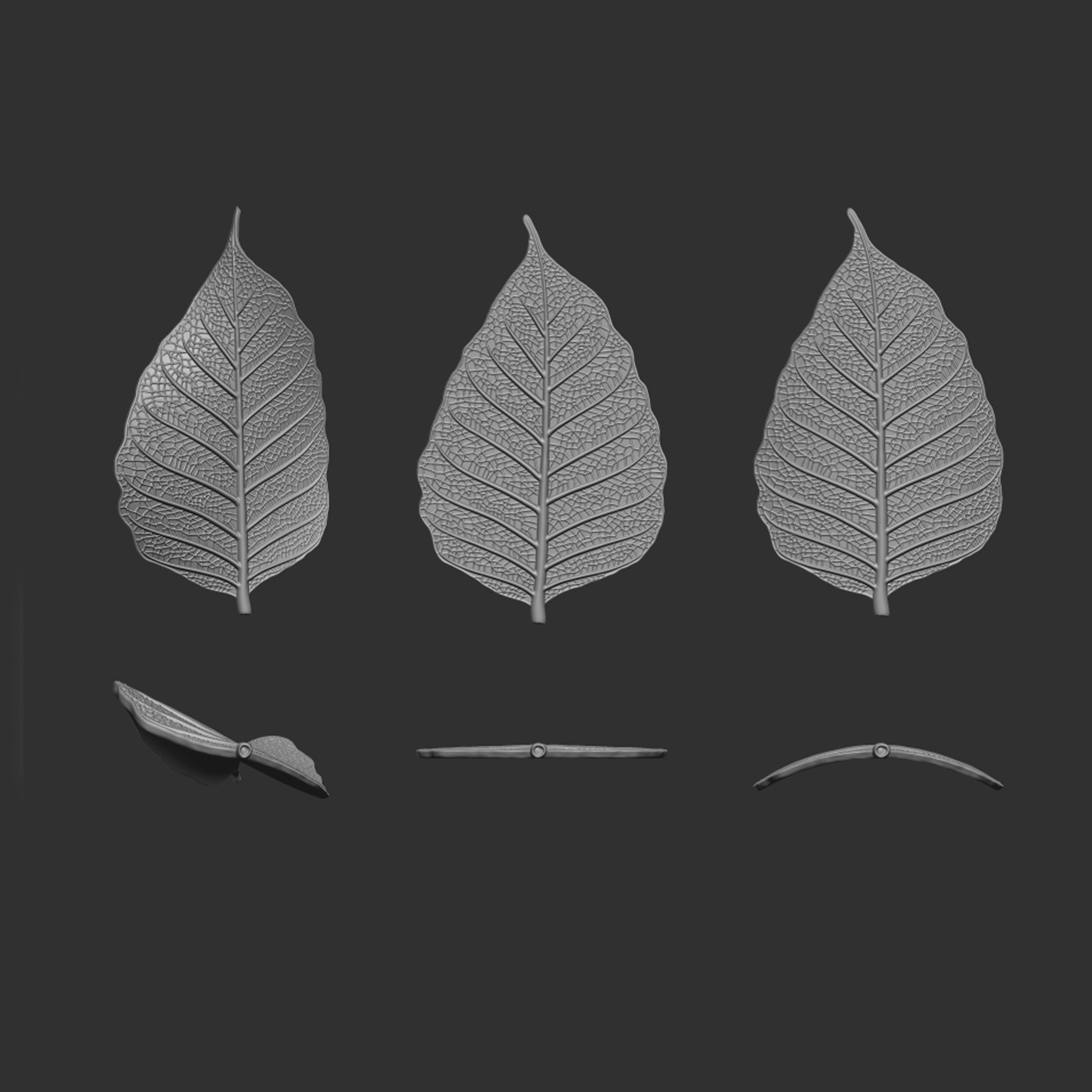 Leaf with vein 3D model 3D printable | CGTrader