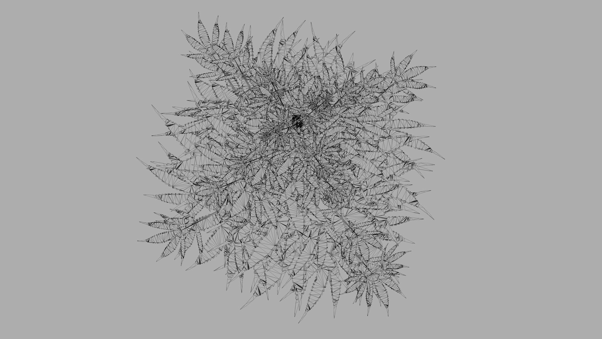 Marijuana plant 3D model | CGTrader