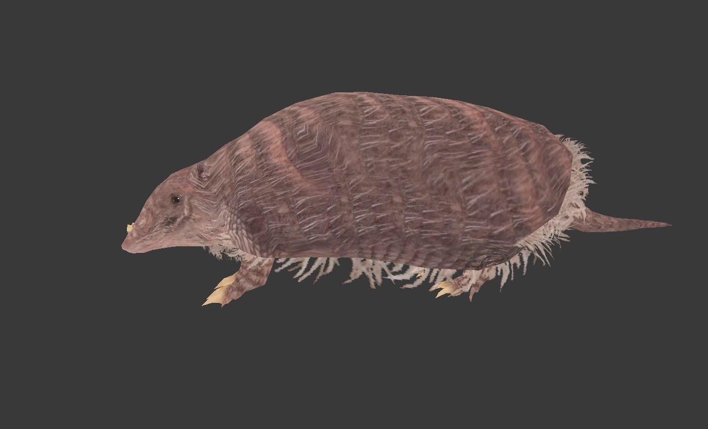3D model Peltephilus armadillo VR / AR / low-poly | CGTrader