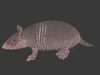 3D model Pampatherium armadillo VR / AR / low-poly | CGTrader