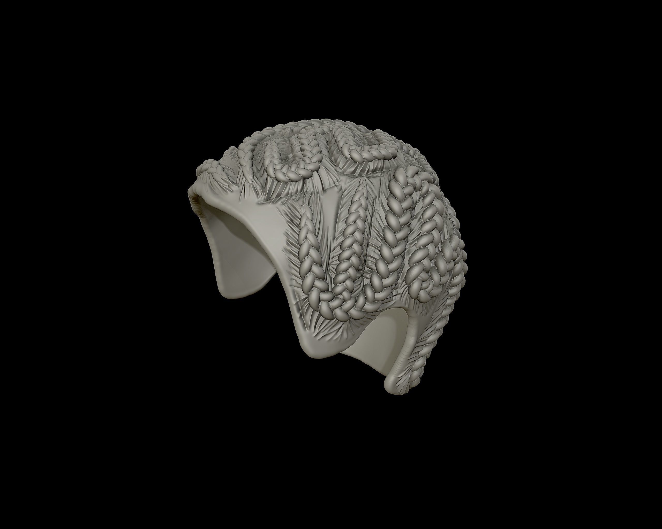 Braid Hairstyle 03 3D model 3D printable | CGTrader