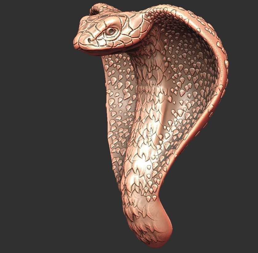 Snake 3D model 3D printable | CGTrader