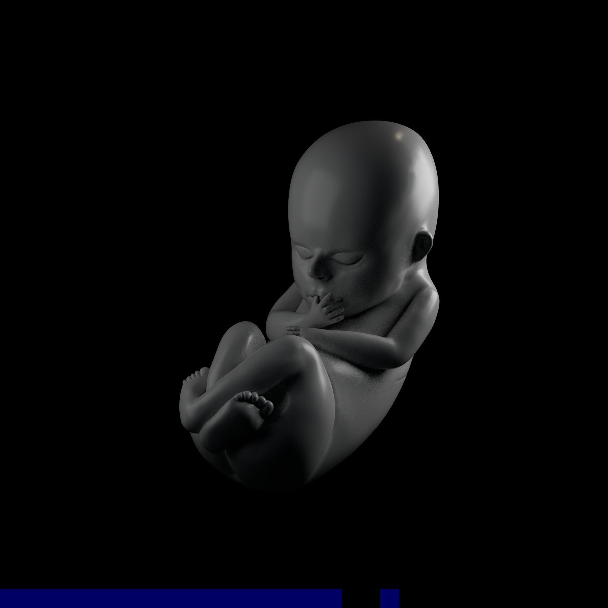 Baby fetus 3d 3D model 3D printable | CGTrader