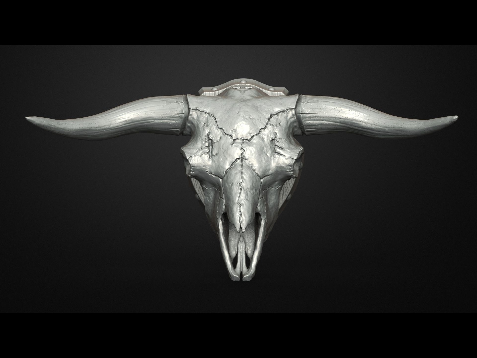 Traditional Bull Scull Scary Bull Scull Decor on wall 3D model 3D ...