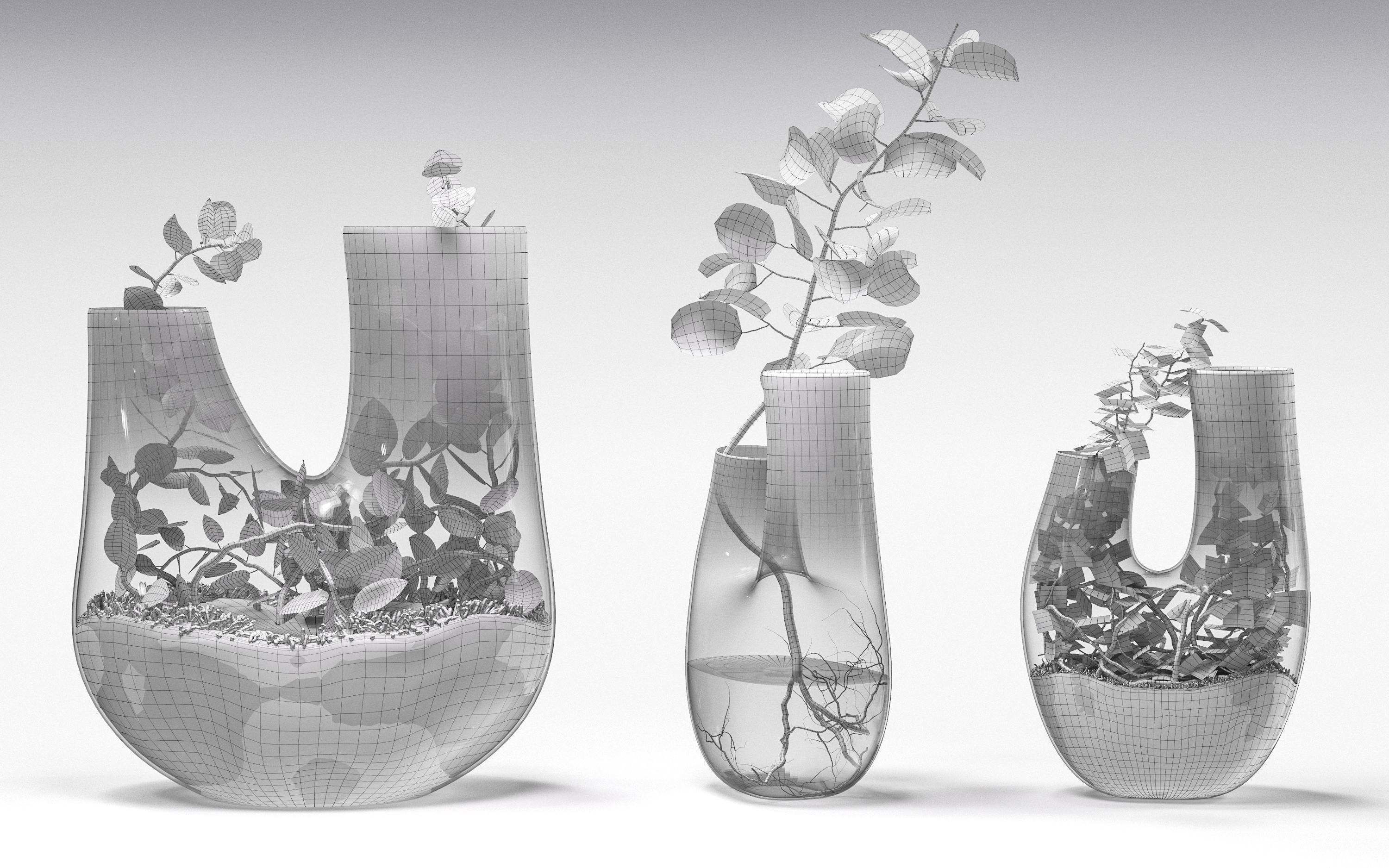 Plant Terrarium SET2 3D model | CGTrader