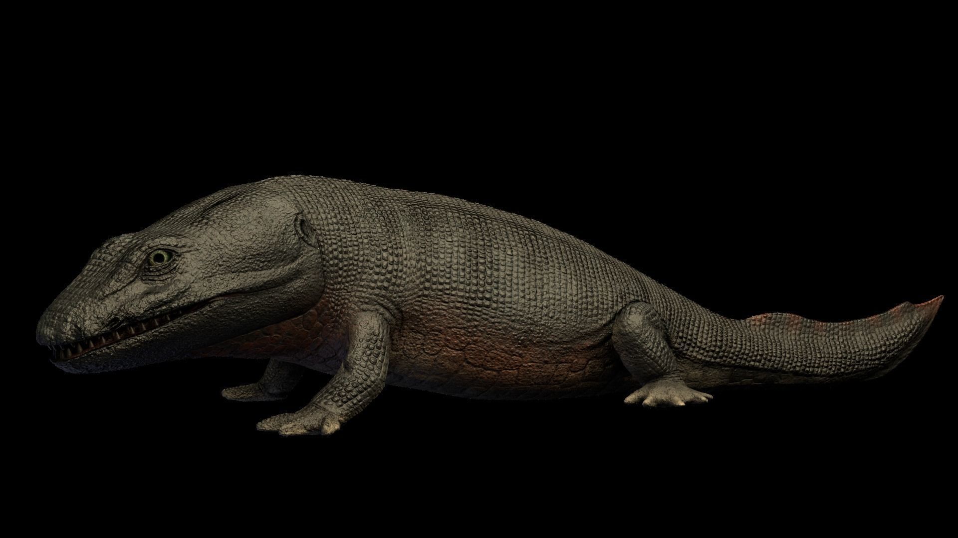 3D model Ichthyostega Asset Pack VR / AR / low-poly rigged animated ...