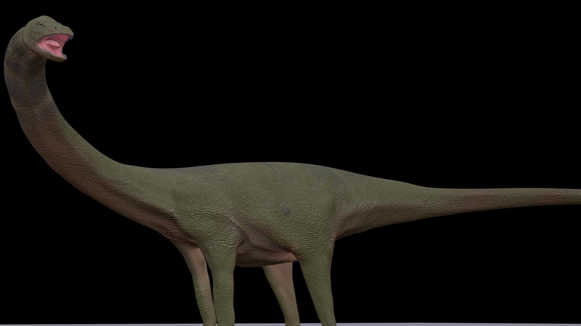 Diplodocus dinosaur 3D model rigged | CGTrader