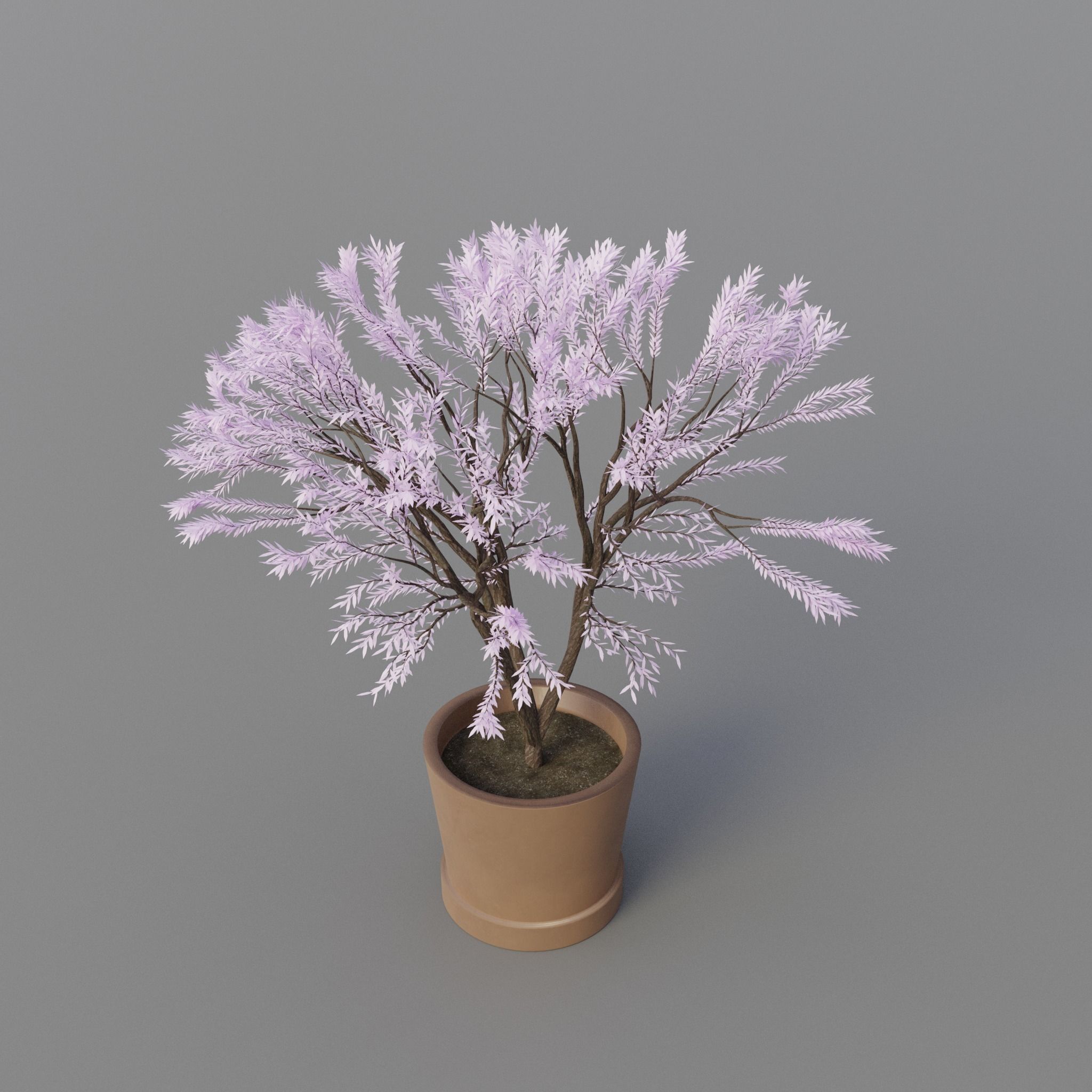 Japanese tree 3D model | CGTrader