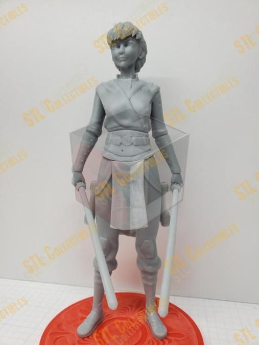 Darth Elsa and Jedi Anna Combo free 3D model 3D printable | CGTrader